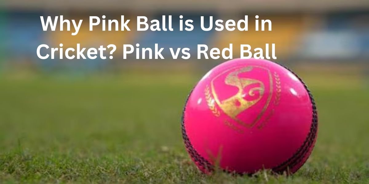 Why Pink Ball is Used in Cricket? Pink vs Red Ball